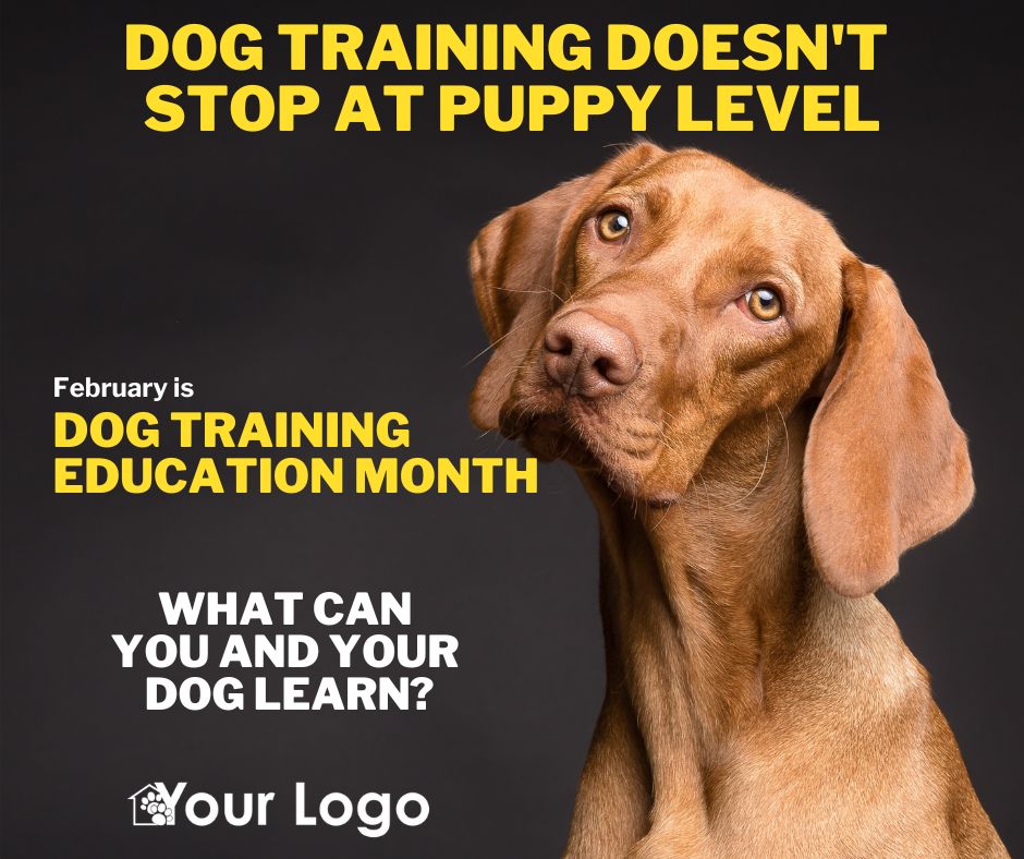 Dog Training Education Month - Shelter Roundtable