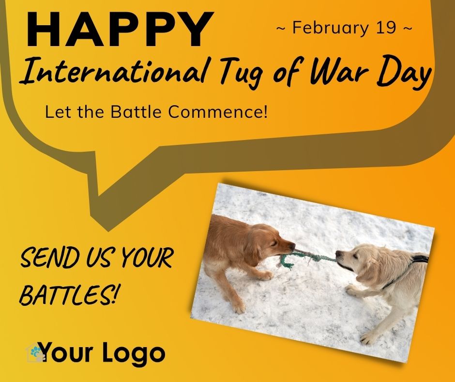 International Tug of War Day - Shelter Roundtable