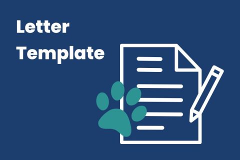 Donation Thank You Letter Sample for Animal Shelters