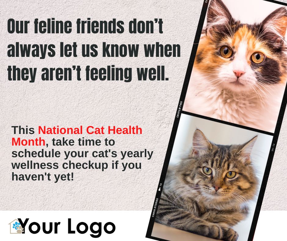 National Cat Health Month - Shelter Roundtable