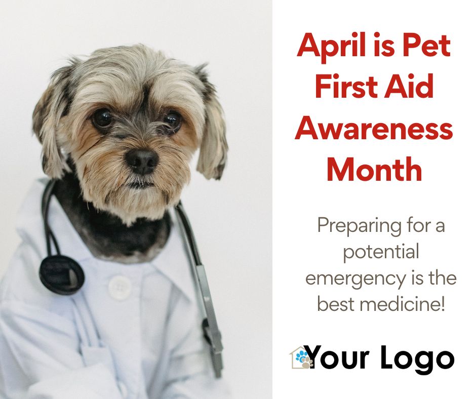 National Pet First Aid Awareness Month - Shelter Roundtable