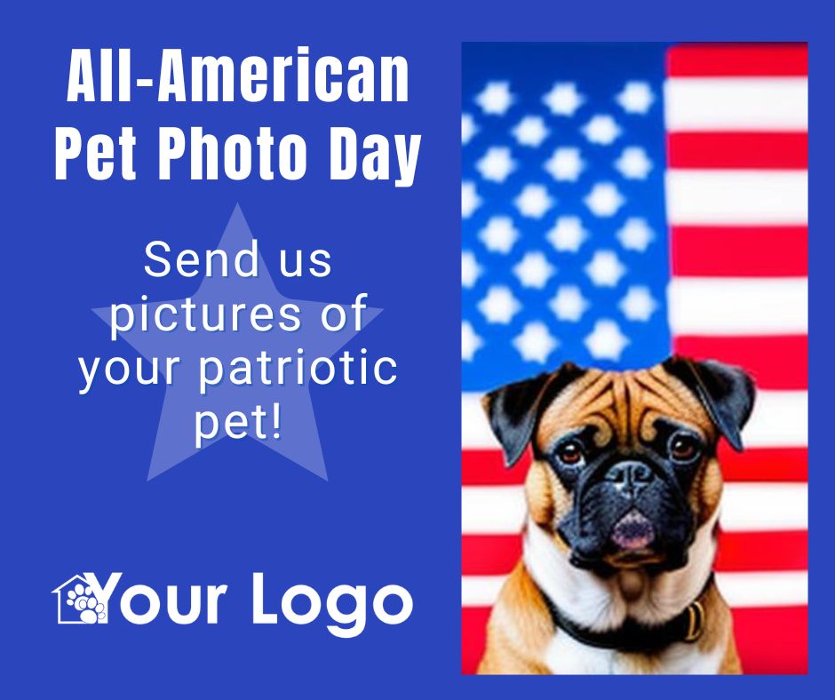 All American Pet Photo Day - Shelter Roundtable