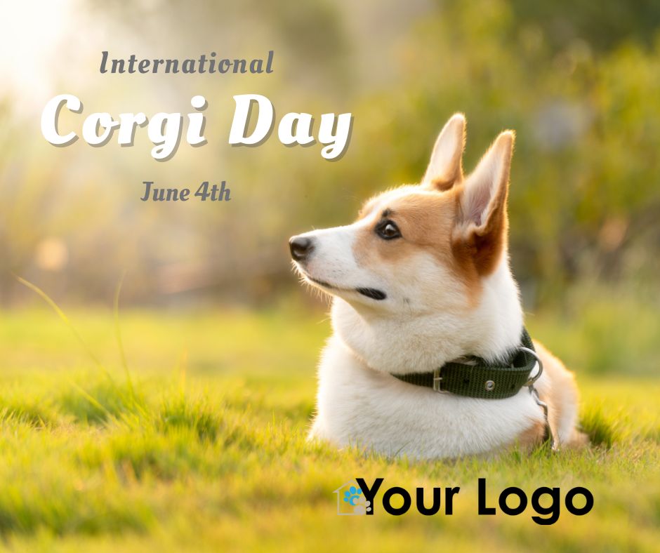 International Corgi Day - Shelter Roundtable