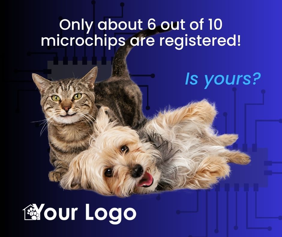 Check Your Chip Day - Shelter Roundtable