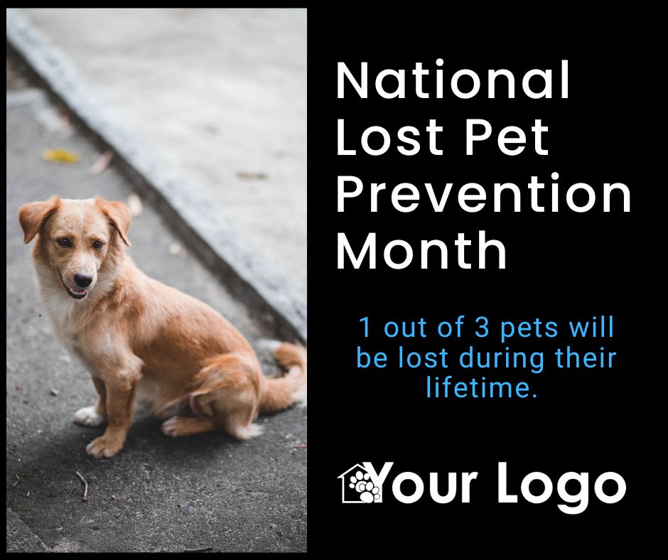 National Lost Pet Prevention Month - Shelter Roundtable