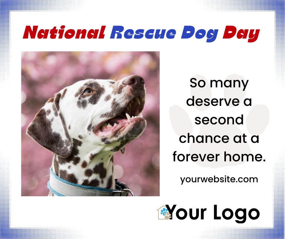National Rescue Dog Day - Shelter Roundtable National Rescue Dog Day - Shelter Roundtable