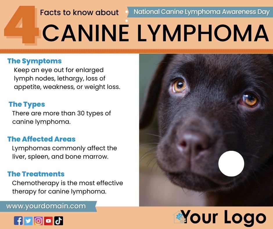 National Canine Lymphoma Awareness Day - Shelter Roundtable