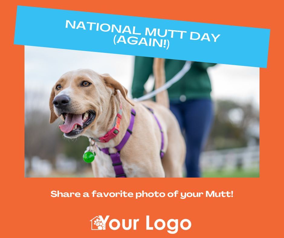 National Mutt Day (again!) - Shelter Roundtable