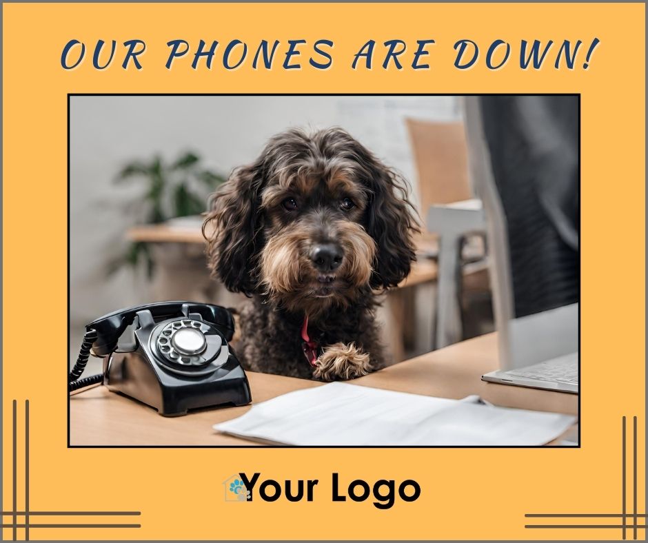 Phones are Down - Shelter Roundtable
