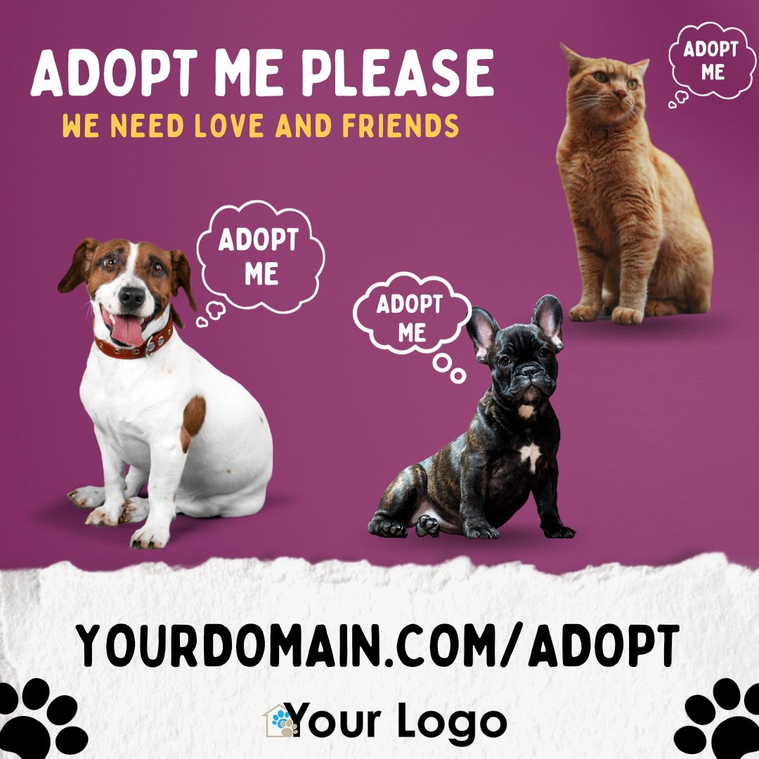 Adopt Me - Multiple Pets - Shelter Roundtable