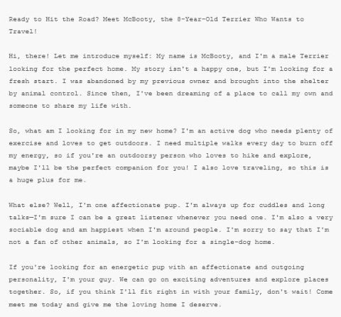 Dog and Cat Adoption Bio Generator - Create Pet Ads