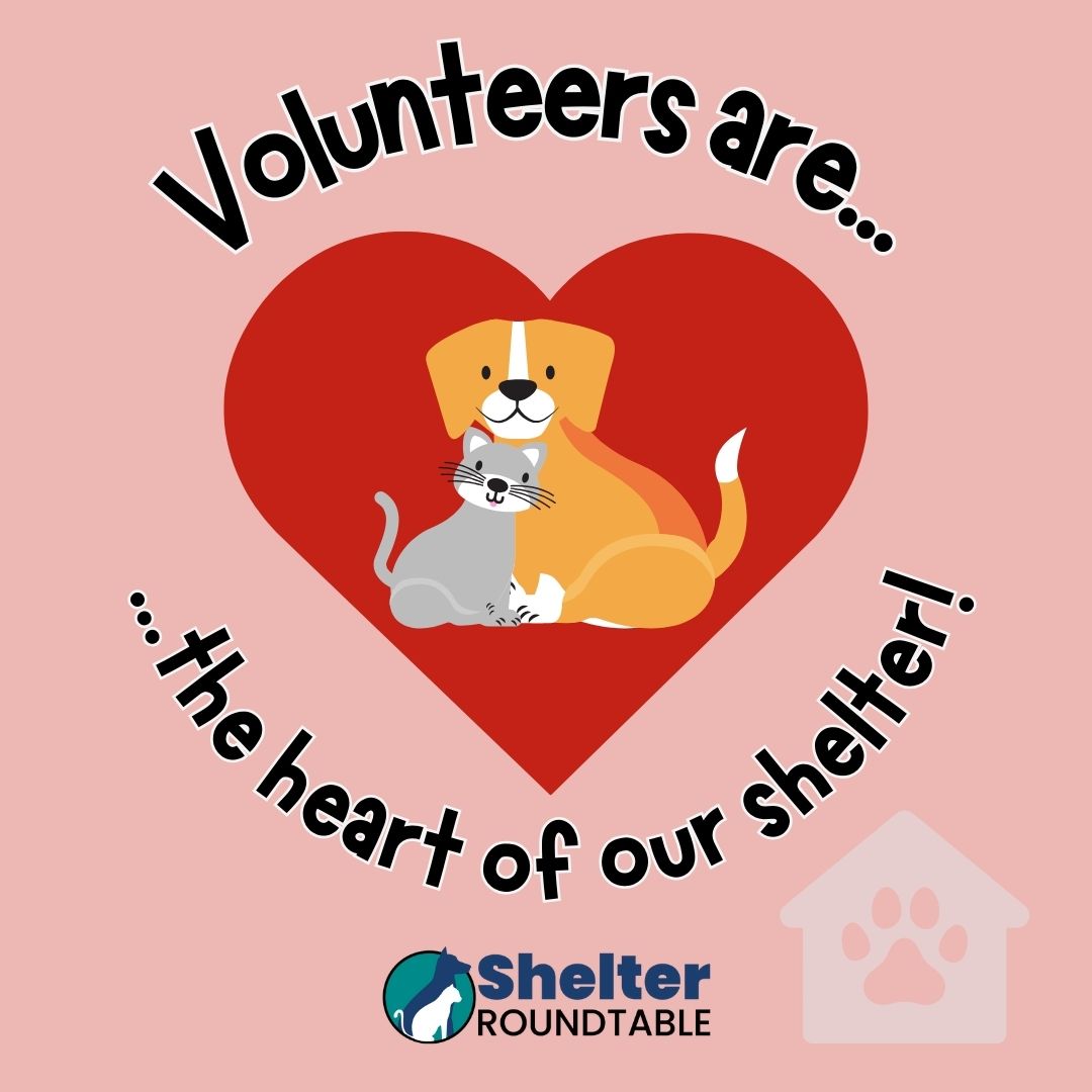 Volunteers are the Heart of Our Shelter - Shelter Roundtable