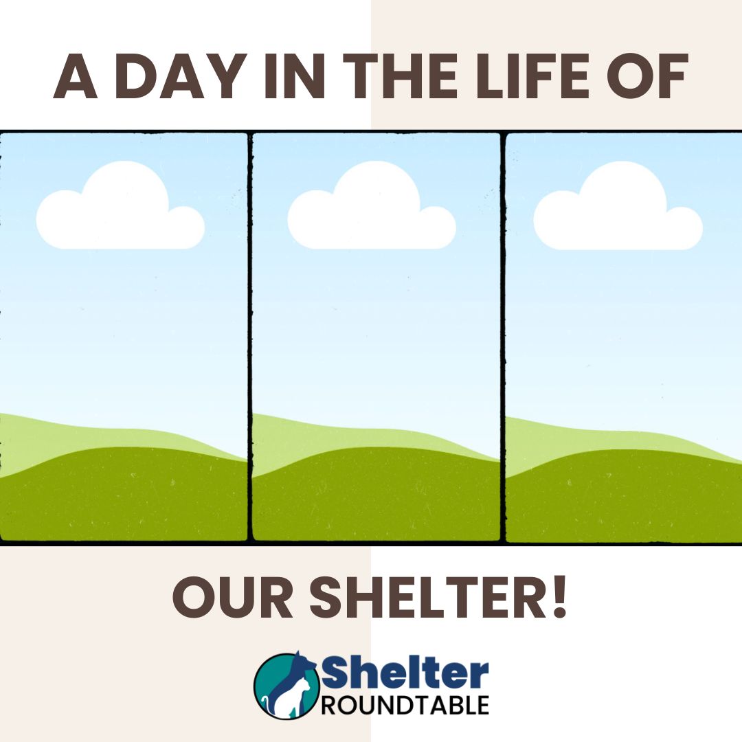 Day in the Life at Our Shelter - Shelter Roundtable