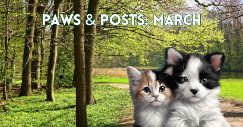 Paws & Posts: March Social Media, Blog, and Video Plan