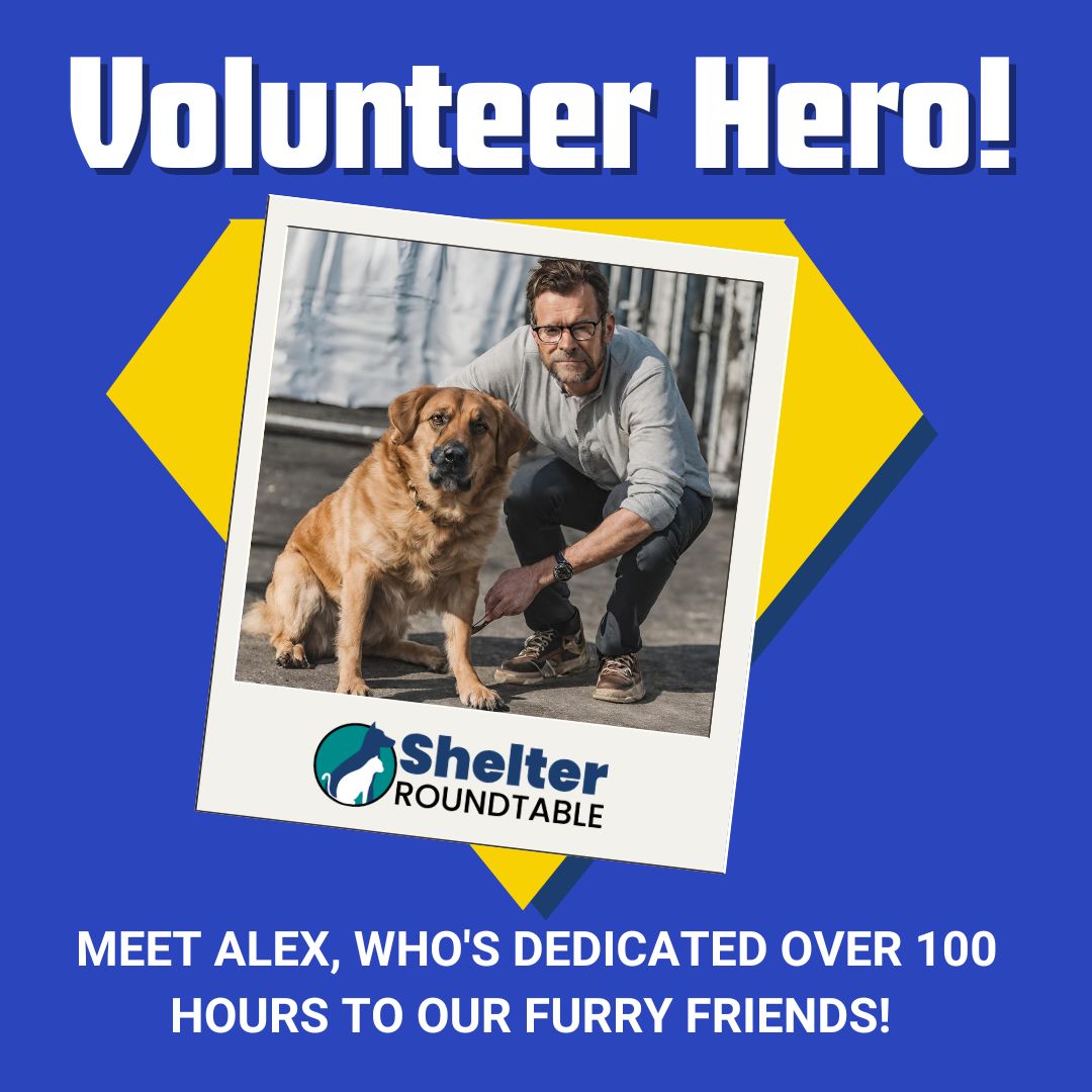 Volunteer Hero! - Shelter Roundtable