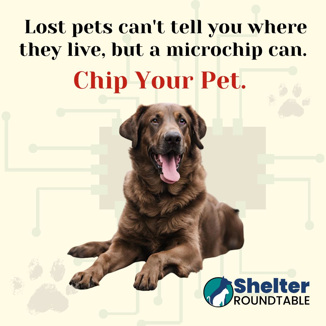 Asset Library - Shelter Roundtable