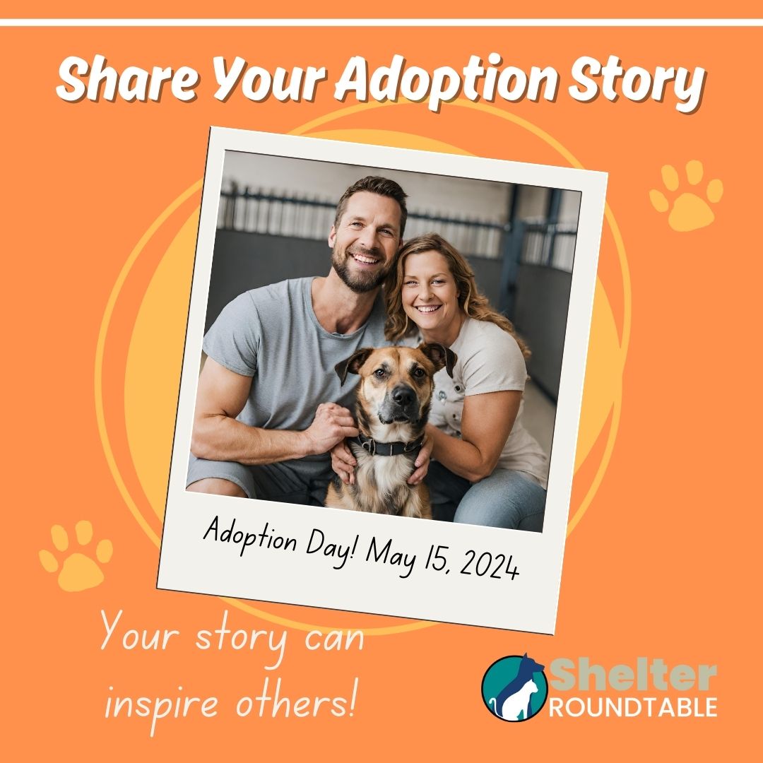 5 Types of Successful Animal Adoption Ads