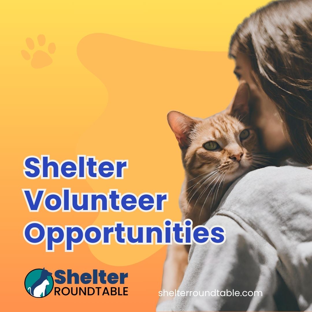 Shelter Volunteer Opportunities - Shelter Roundtable