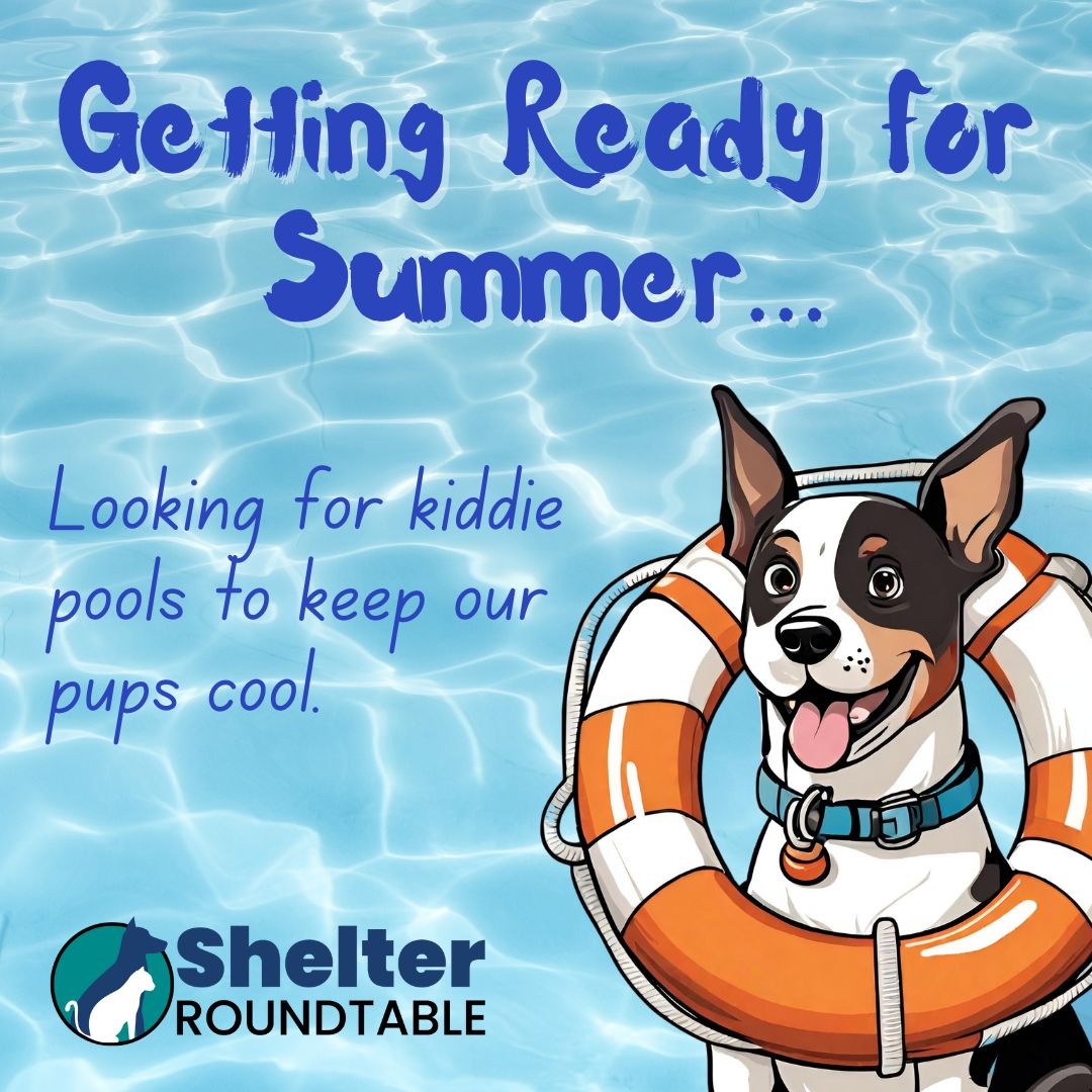 Getting Ready for Summer - Shelter Roundtable