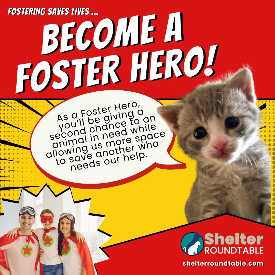 Inspiring Animal Foster Slogans - Shelter Roundtable