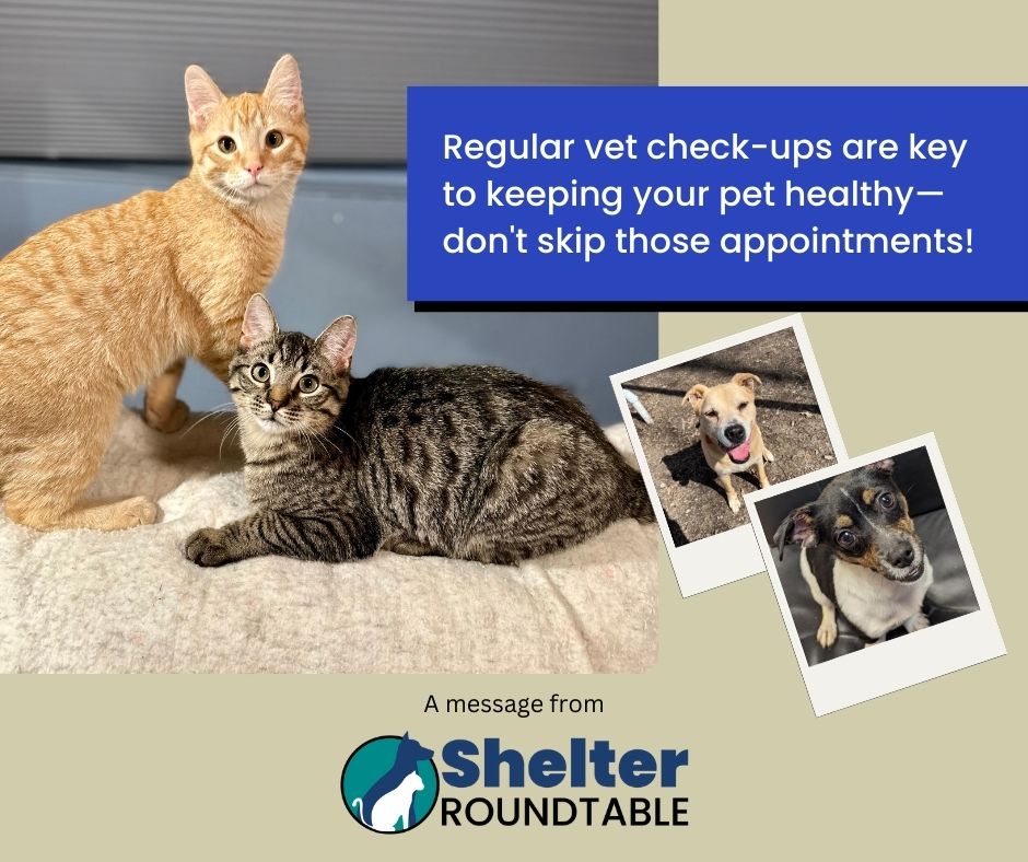 Regular Checkups - Shelter Roundtable