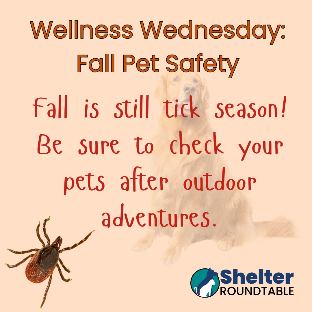Wellness Wednesday: Fall Is Still Tick Season - Shelter Roundtable