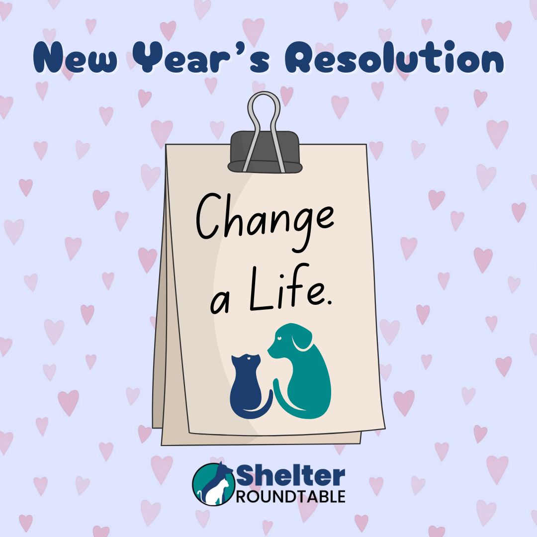 Awesome Social Media Strategies for Animal Shelters