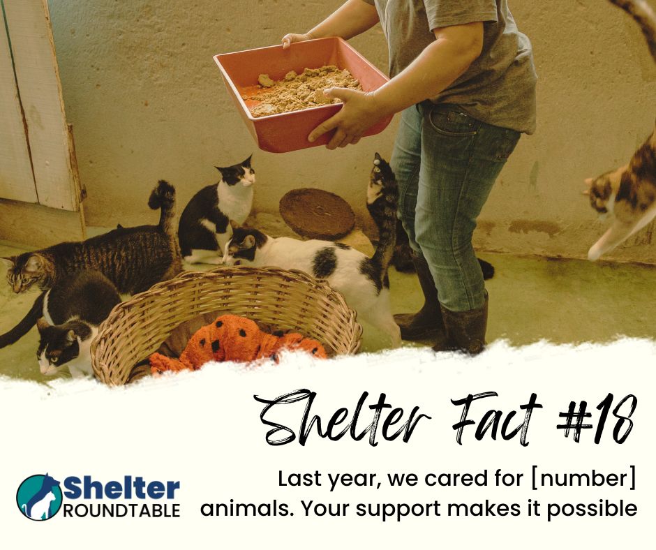 Shelter Fact 18 - Shelter Roundtable