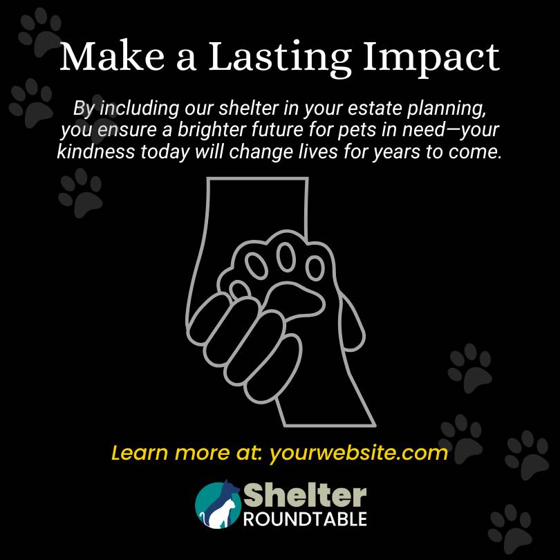 Common Grant Types for Animal Shelters and Rescues