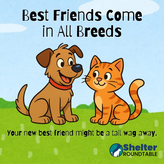 Inspiring Animal Adoption Slogans for Shelters and Rescues