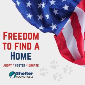 Shelter Roundtable - Marketing and Advertising Resources