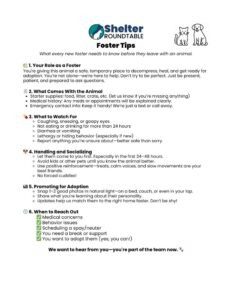 Shelter Roundtable - Marketing and Advertising Resources