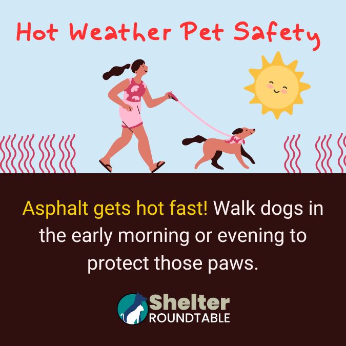 Hot Weather Pet Safety - Shelter Roundtable